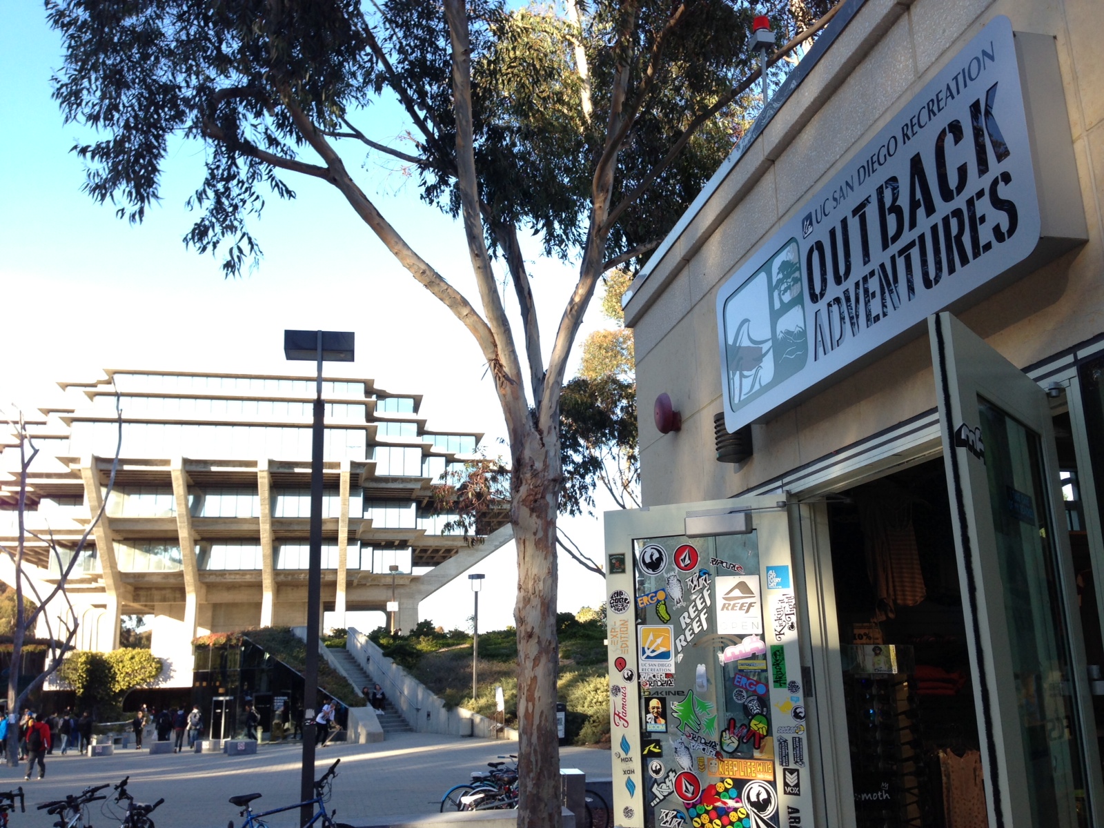 “This Must Be the Place”: Memories from Outback Surf Shop, 2009 - 2017 ...