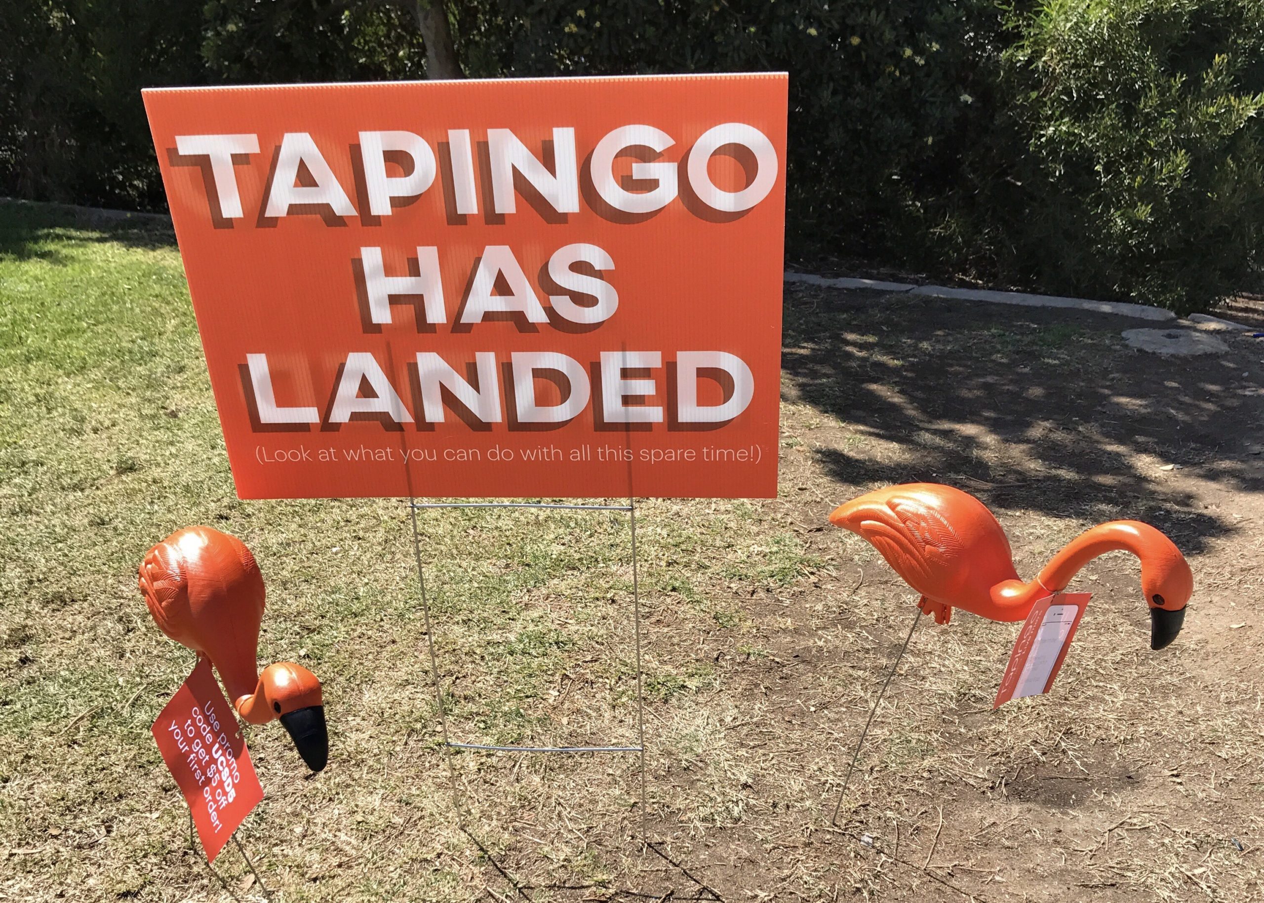 What is Tapingo and Why is HDH Talking About it? | The Triton